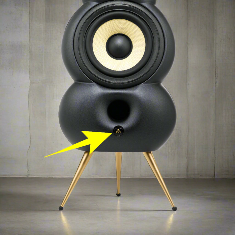 Scandyna | All Products | Premium Sound and Modern Design – SCANDYNA